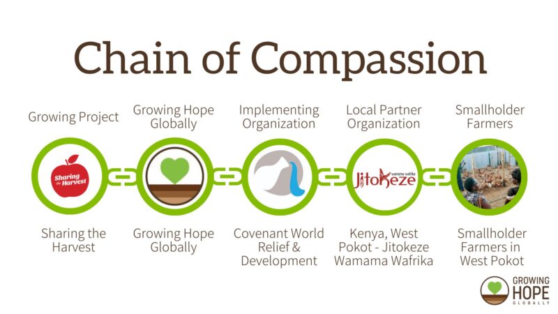 Home - Sharing The Harvest